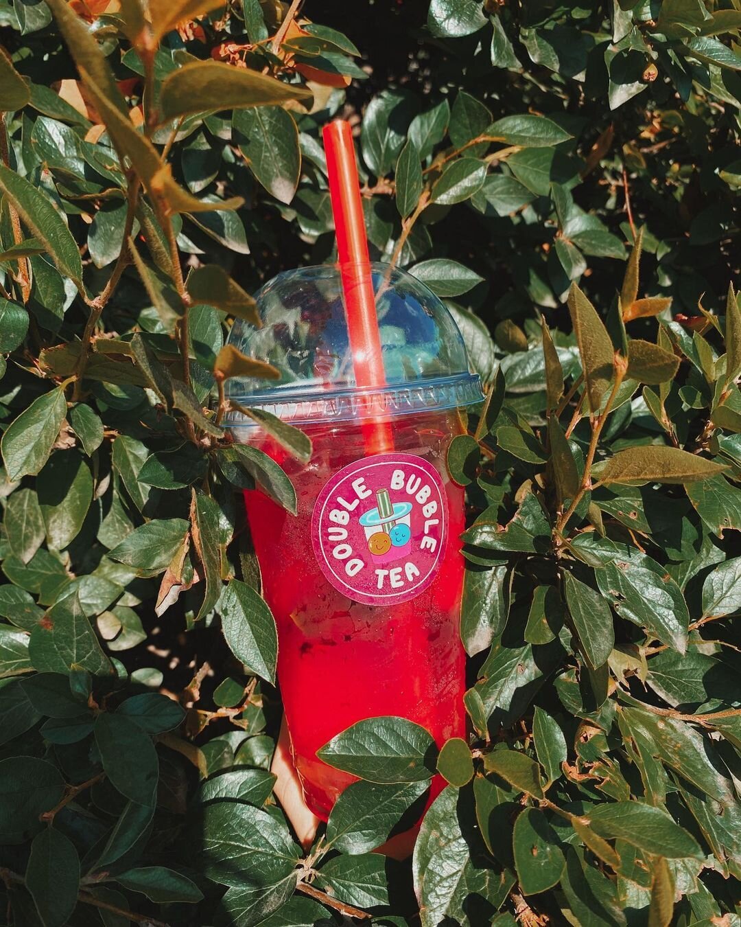 Меню чайной «Double Bubble Tea» / «Дабл бабл ти» в Петербурге | Цены